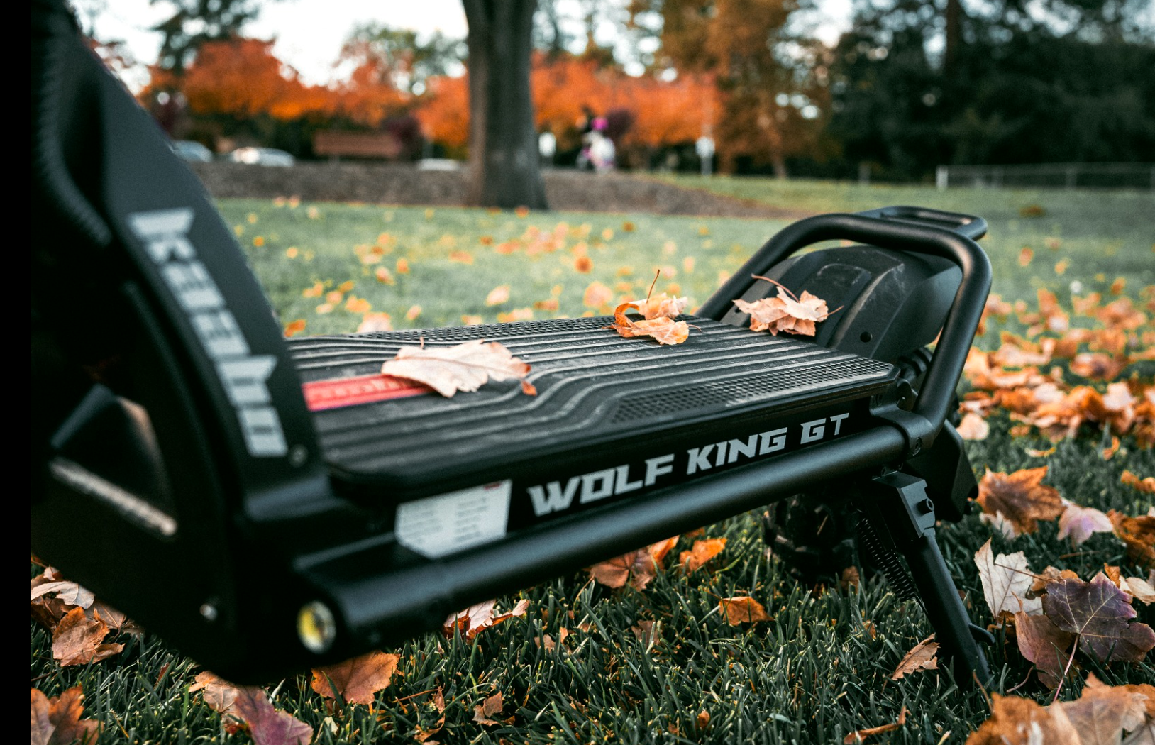Kaabo Electric Scooters Australia | E-Ozzie Online Store