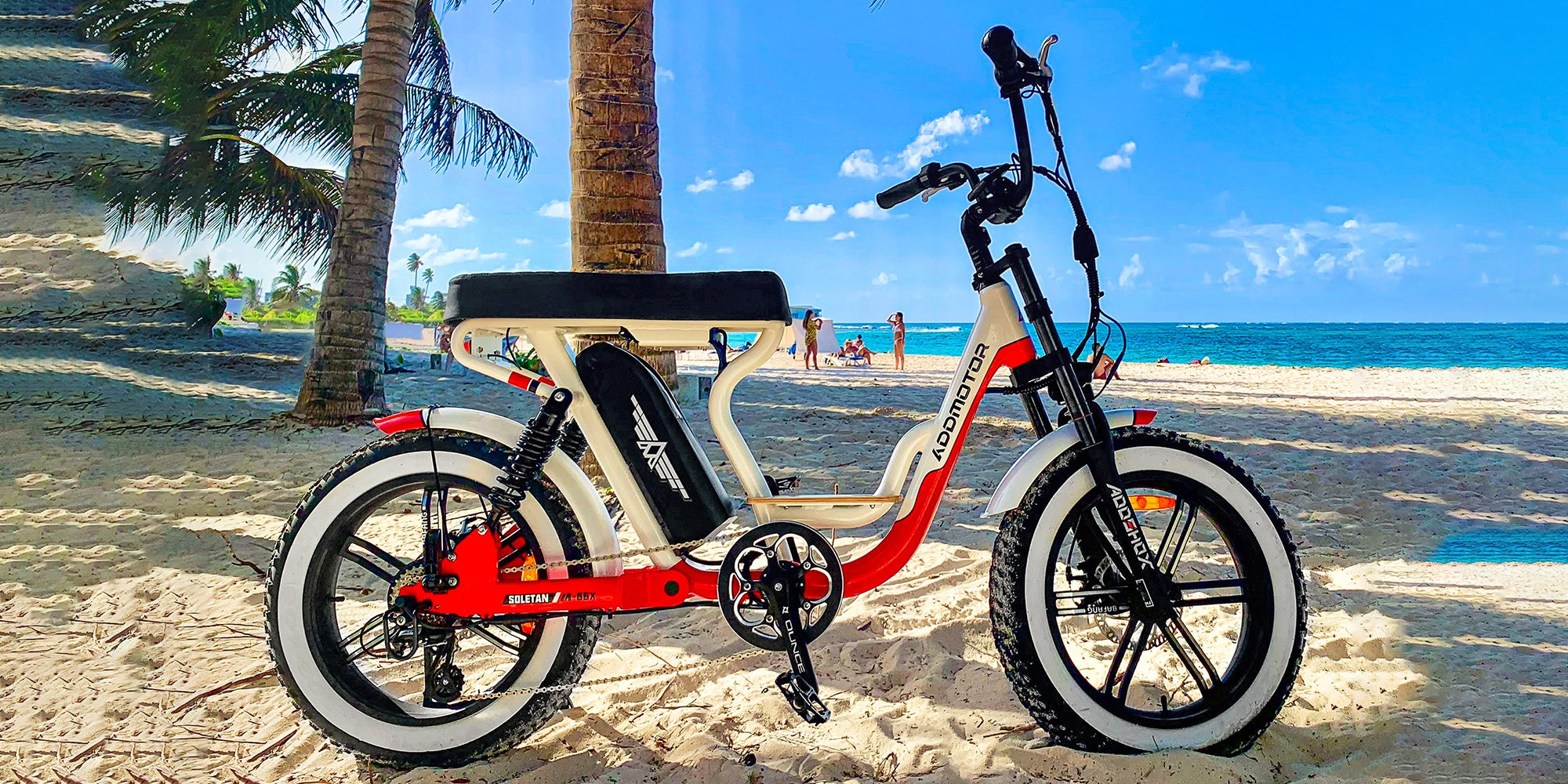 Veloz Electric Bikes - EOzzie